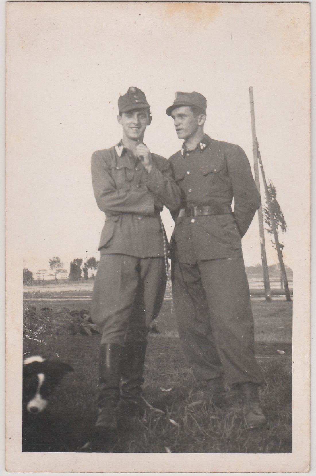 aukcije.hr - NDH - DOMOBRANI - fotografija